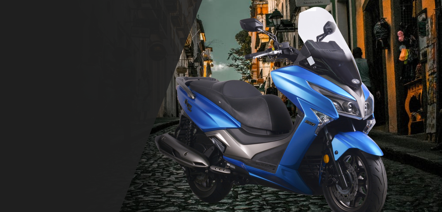 Product Detail :: Modenas